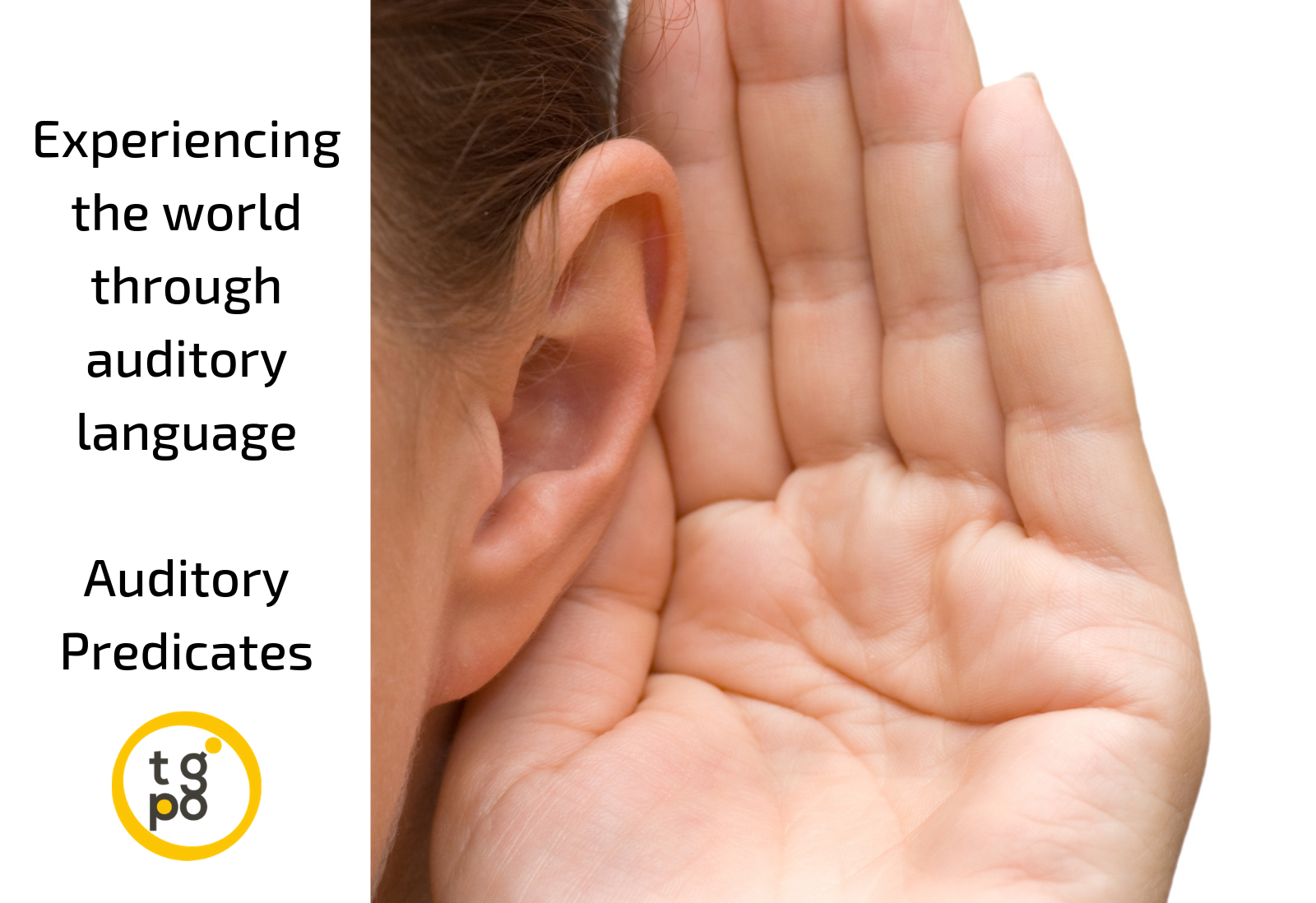Auditory Predicates - Thinking Physio